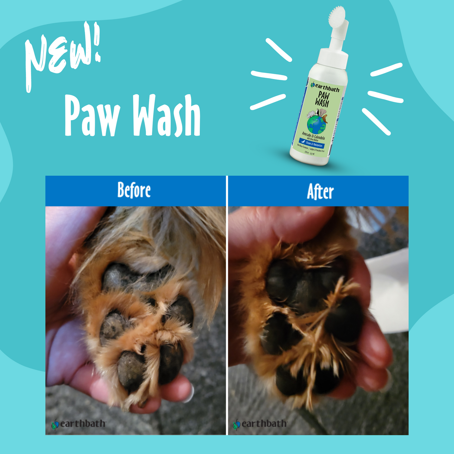 Paw Wash for Dogs & Cats | earthbath®