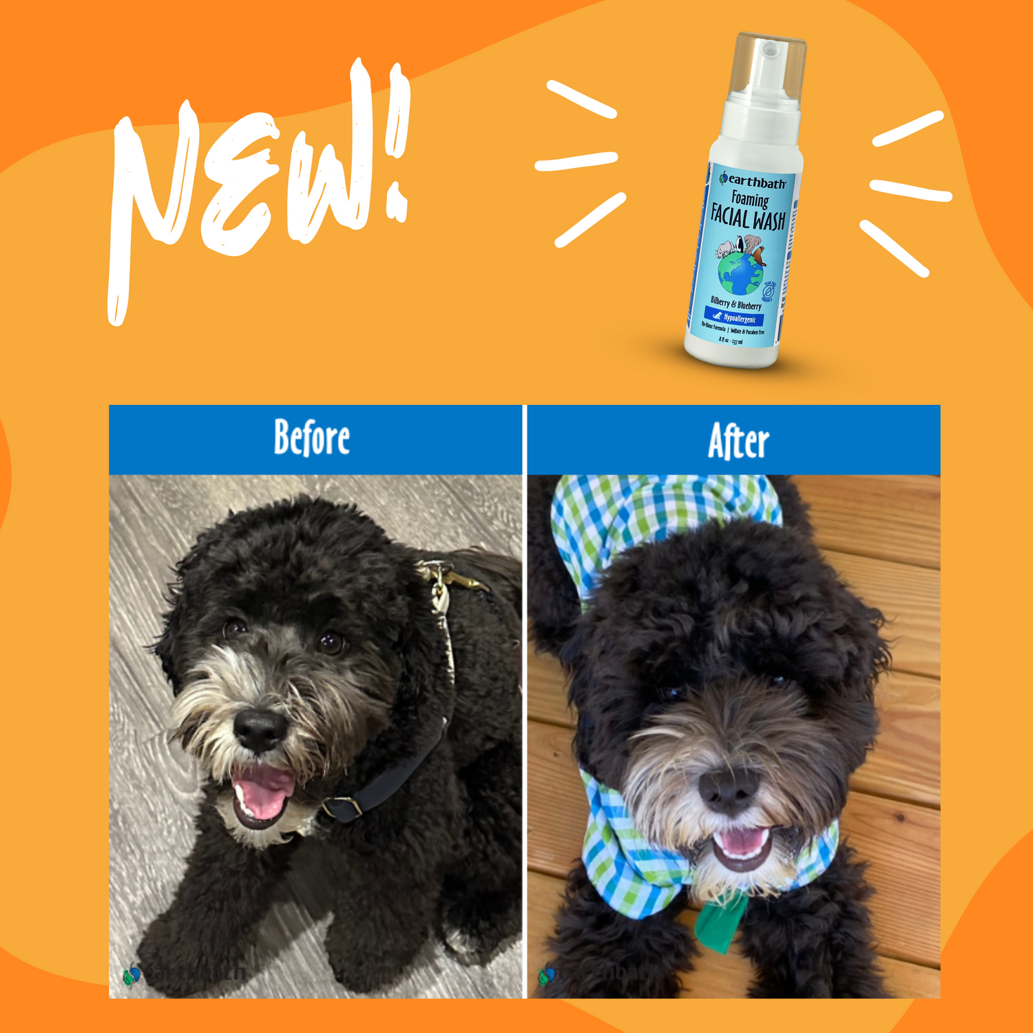 Foaming Facial Wash for Dogs & Cats | earthbath®