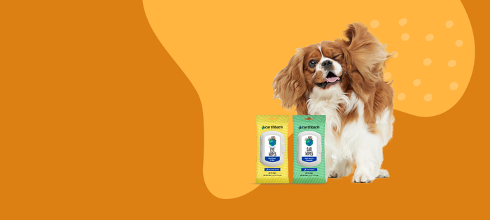 earthbath | Pet Care with Purpose®