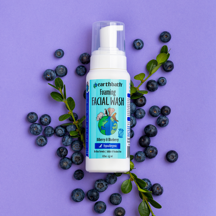 Foaming Facial Wash for Dogs & Cats | earthbath®