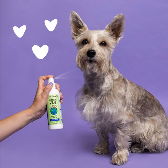 Shea Butter Pet Spray, Moisturizing Dander Relief | earthbath®