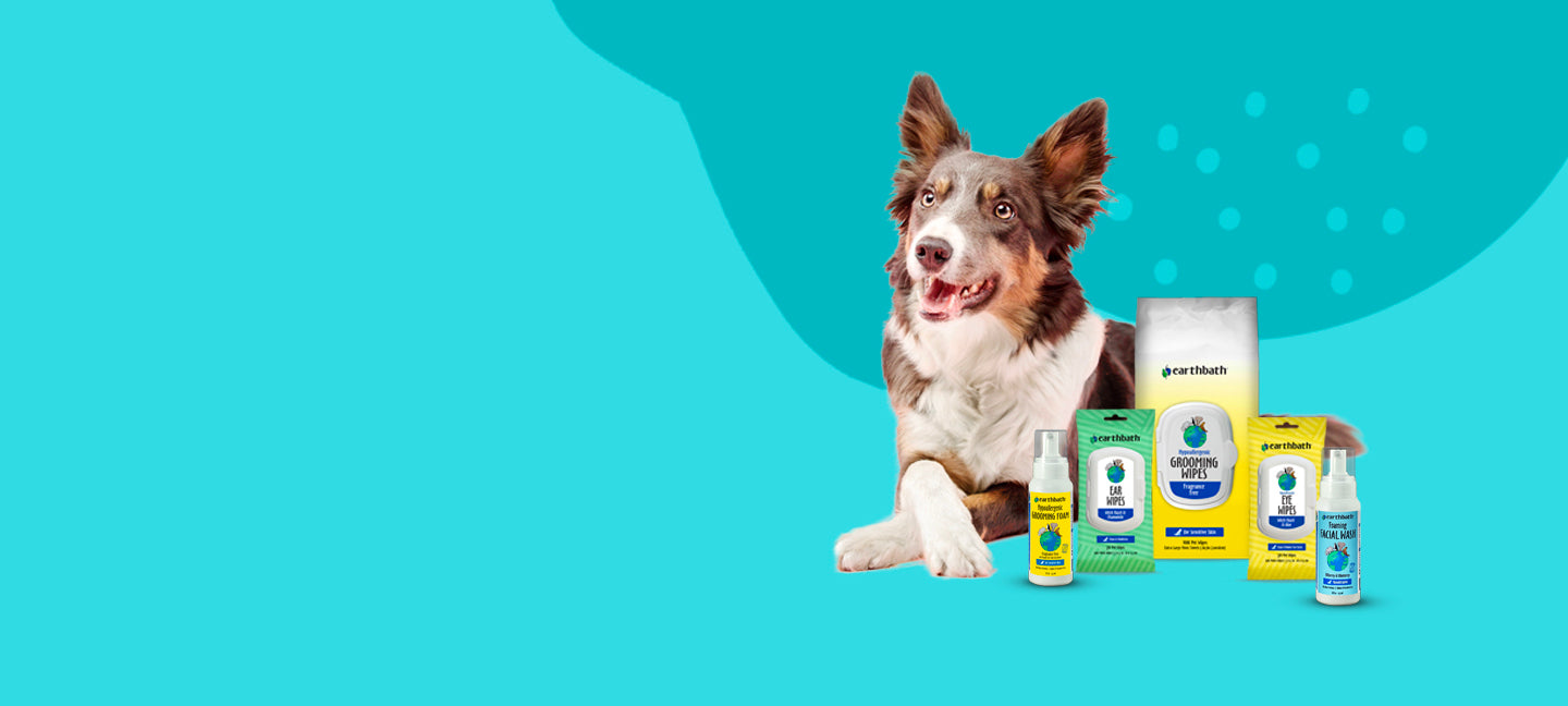 earthbath | Pet Care with Purpose®