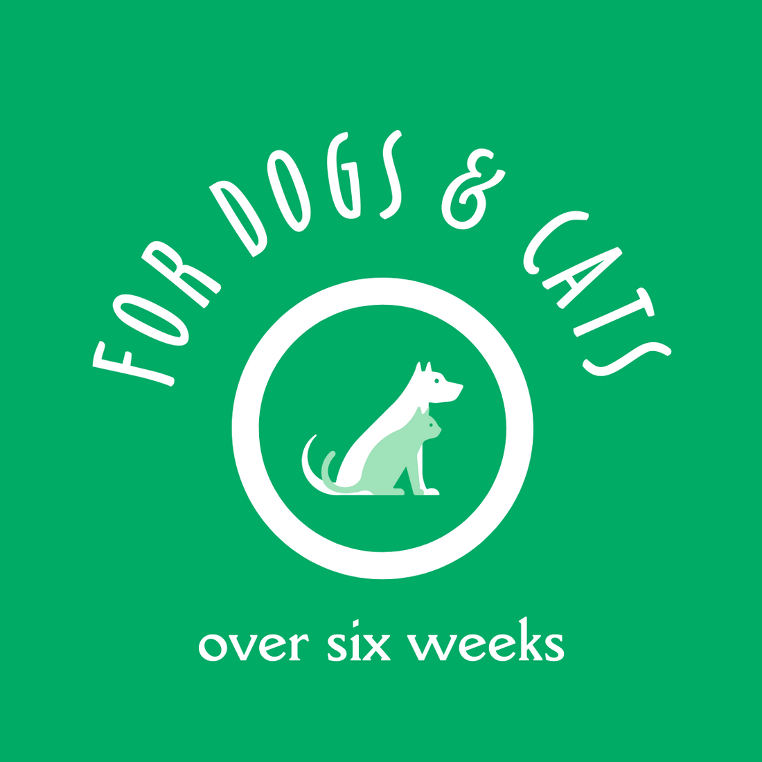 Shea Butter Pet Spray, Moisturizing Dander Relief | earthbath®