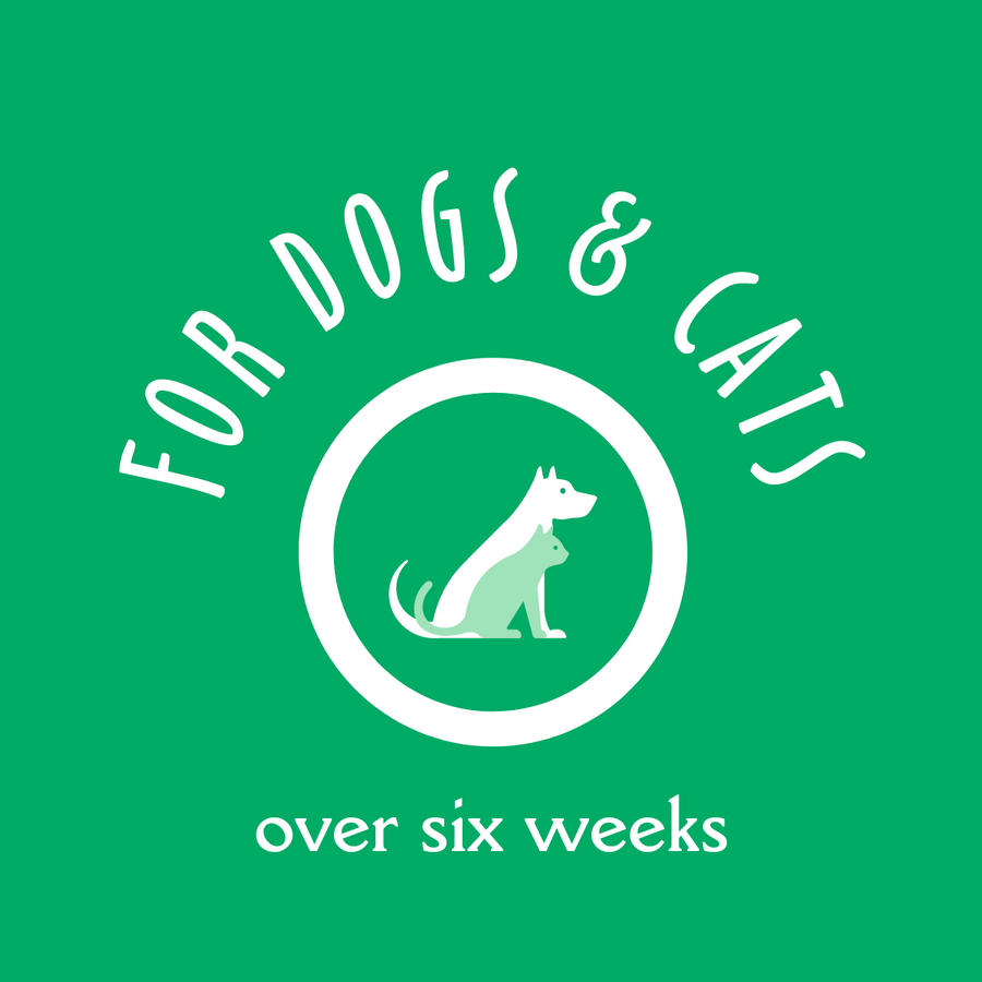 Shea Butter Pet Spray, Moisturizing Dander Relief | earthbath®