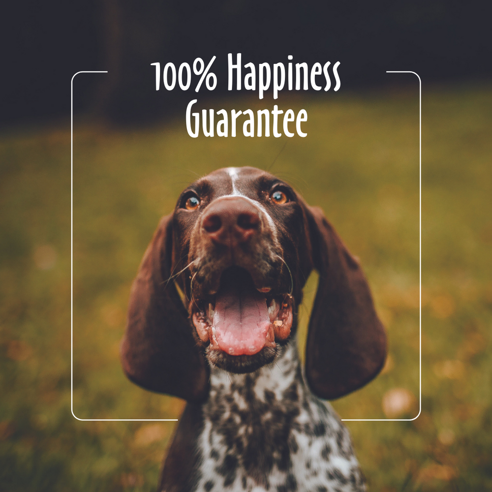 Shea Butter Pet Spray, Moisturizing Dander Relief | earthbath®